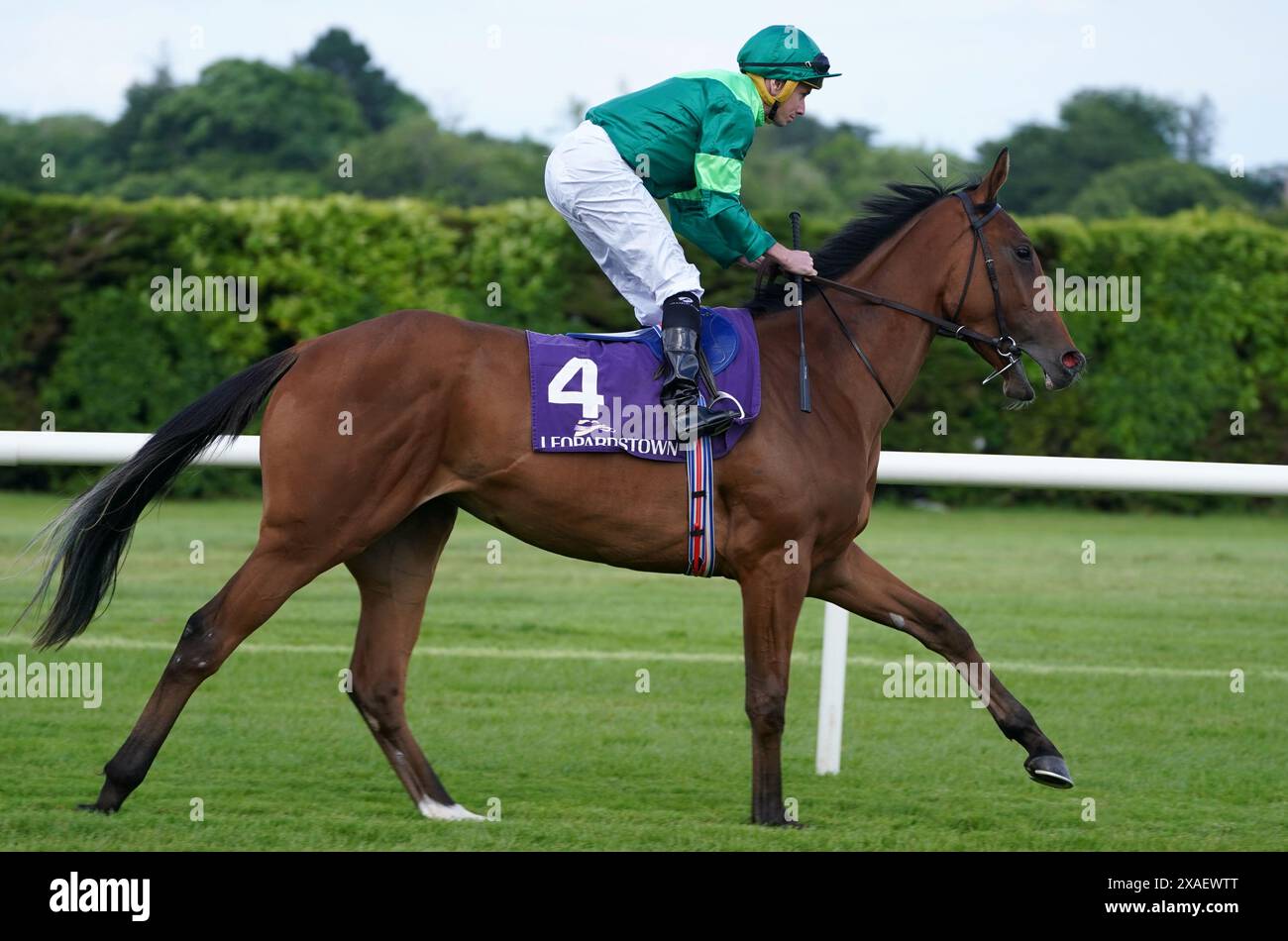 Giselle and Ryan Moore going to post before the Irish Stallion Farms ...