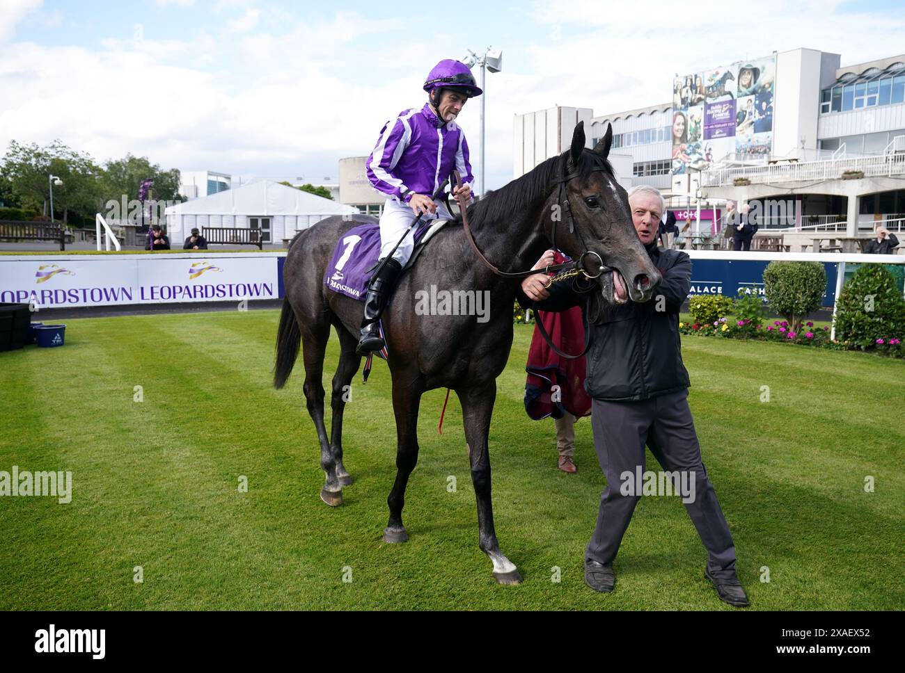 Bedtime Story ridden by Wayne Lordan after winning the Irish Stallion ...