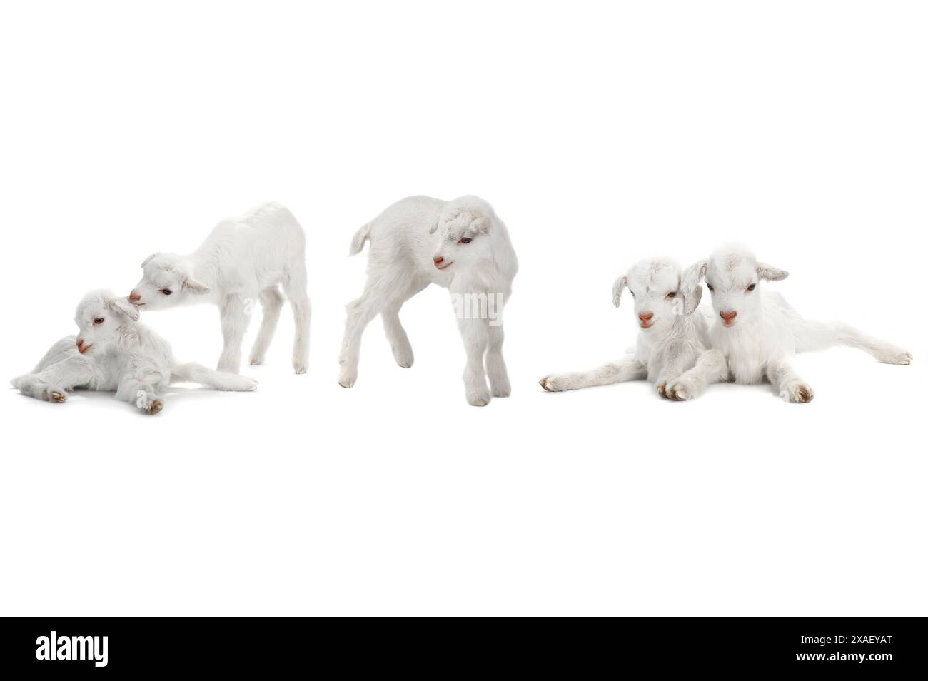 Rural happy kids Cut Out Stock Images & Pictures - Alamy