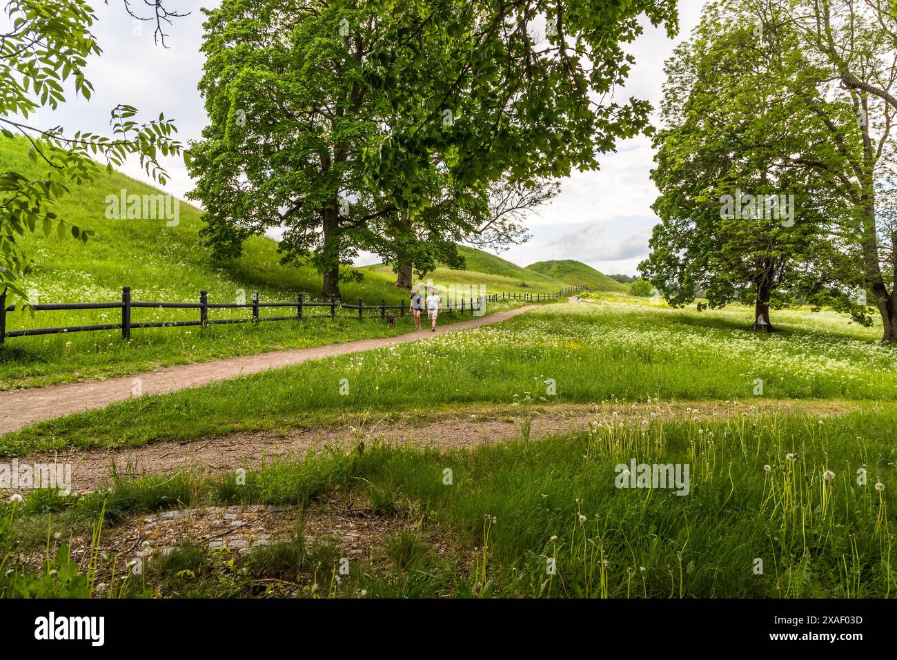 Burial mounds in Gamla Uppsala. The royal burial mounds embedded in ...