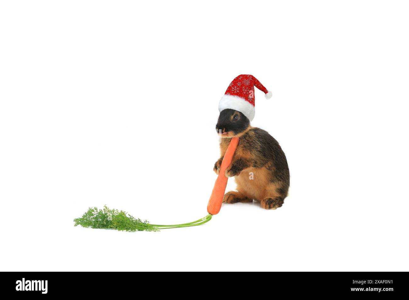 Chinese new year rabbit, 2023 Cut Out Stock Images & Pictures - Alamy