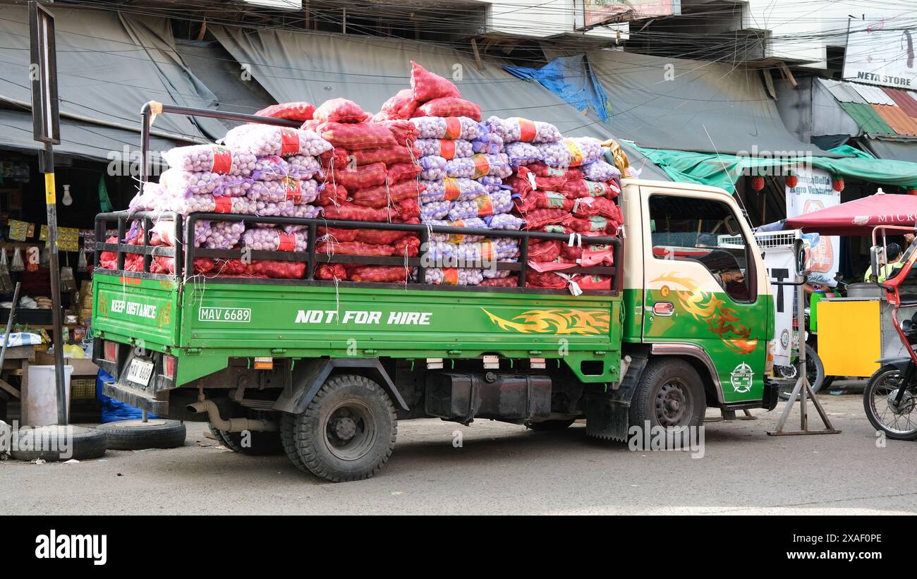 A green truck is loaded with a large amount of vegetables. The truck is ...