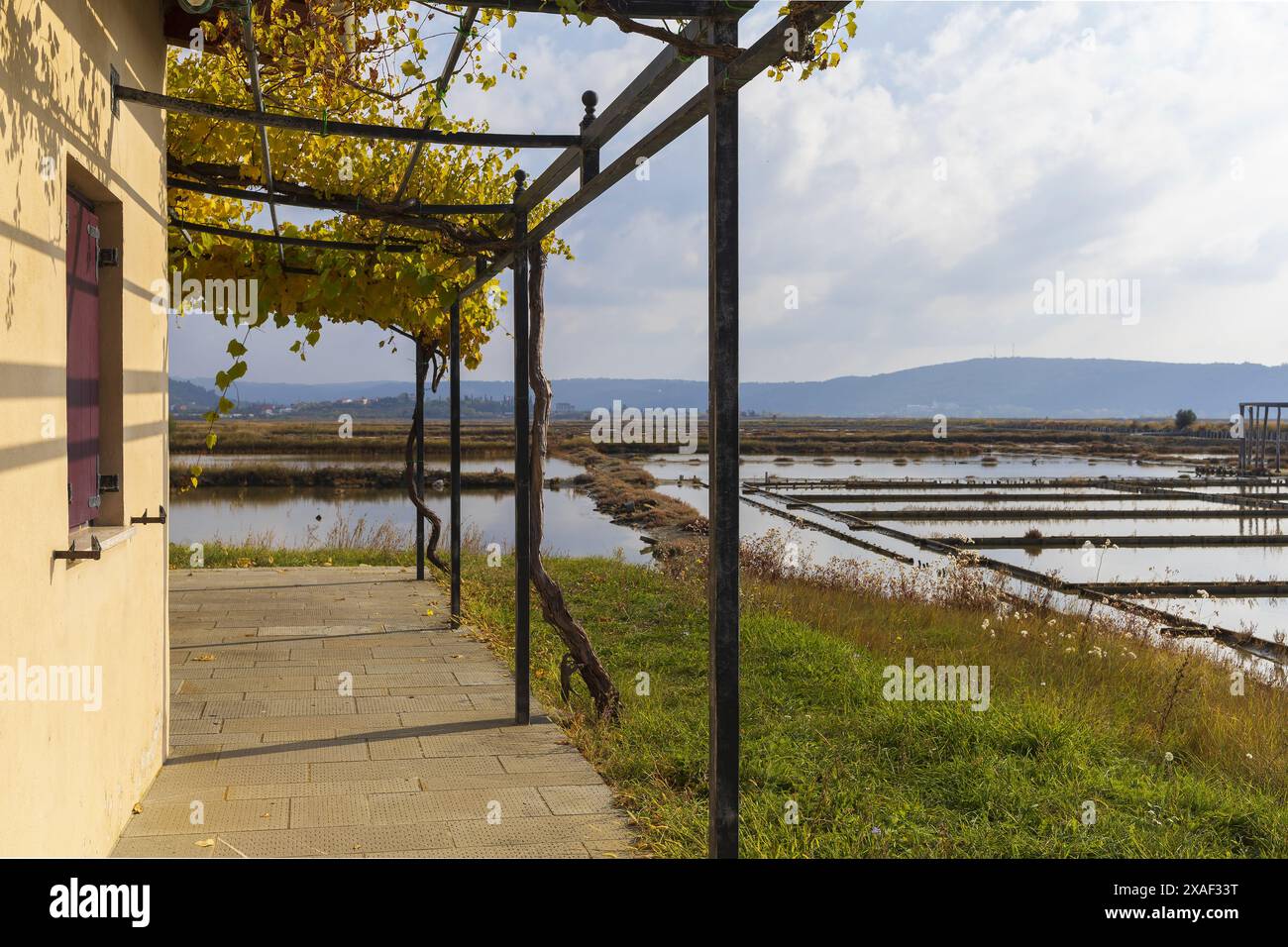 photo from a yellow house with terrace with grapevine to salt pans and ...