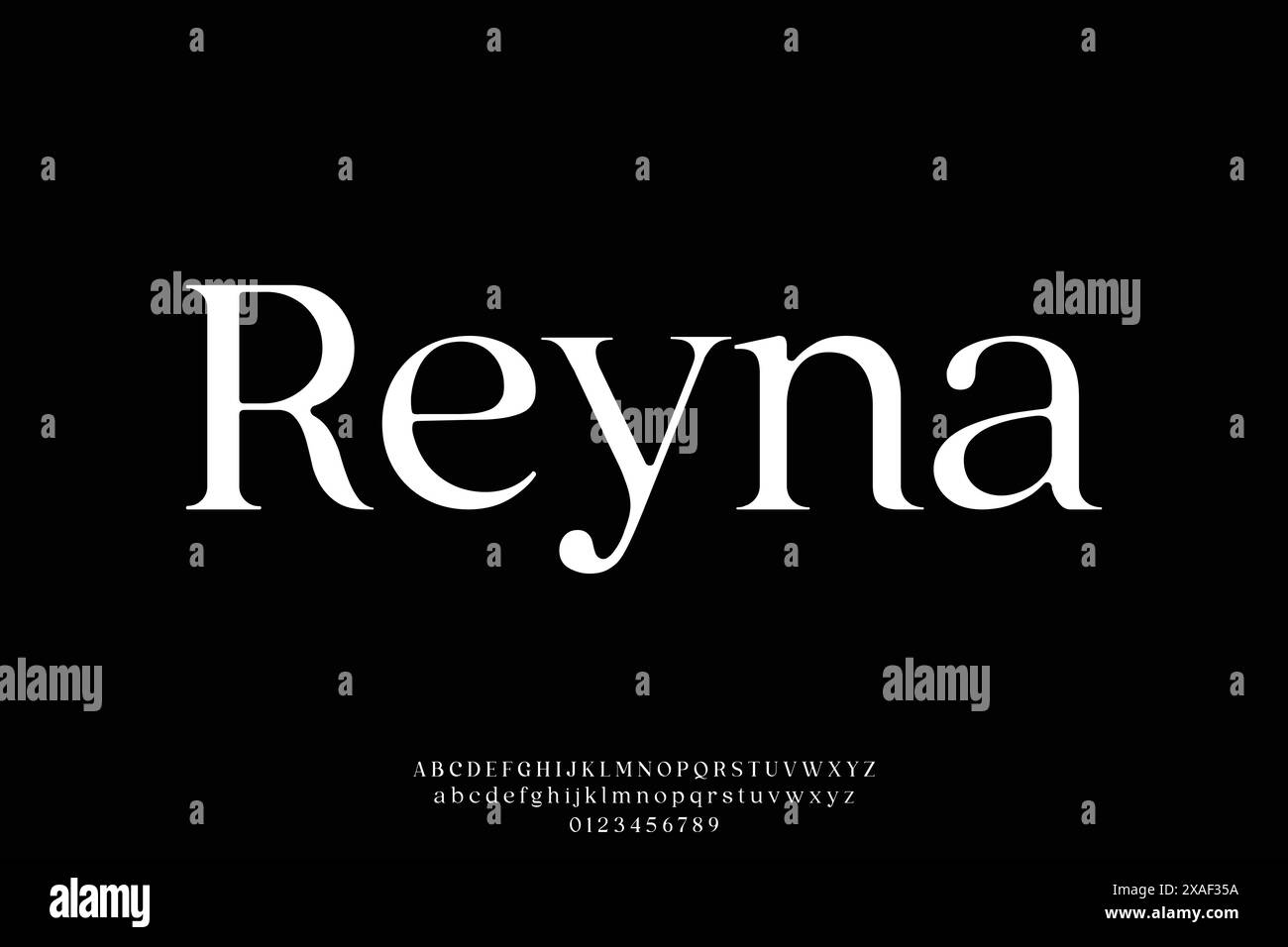 Elegant humanist serif alphabet display font vector illustration Stock ...