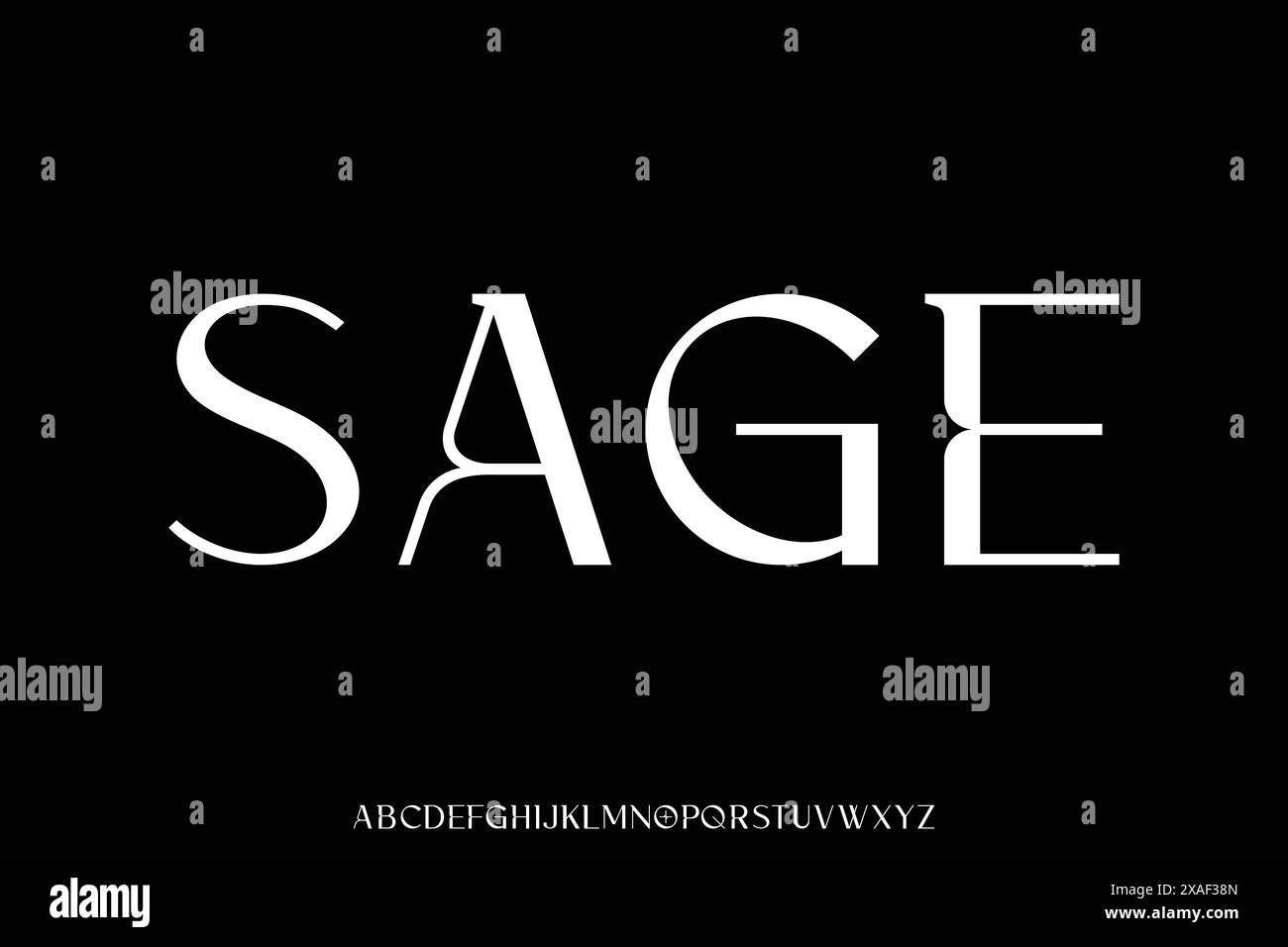 Elegant decorative sage alphabet display font vector illustration Stock ...