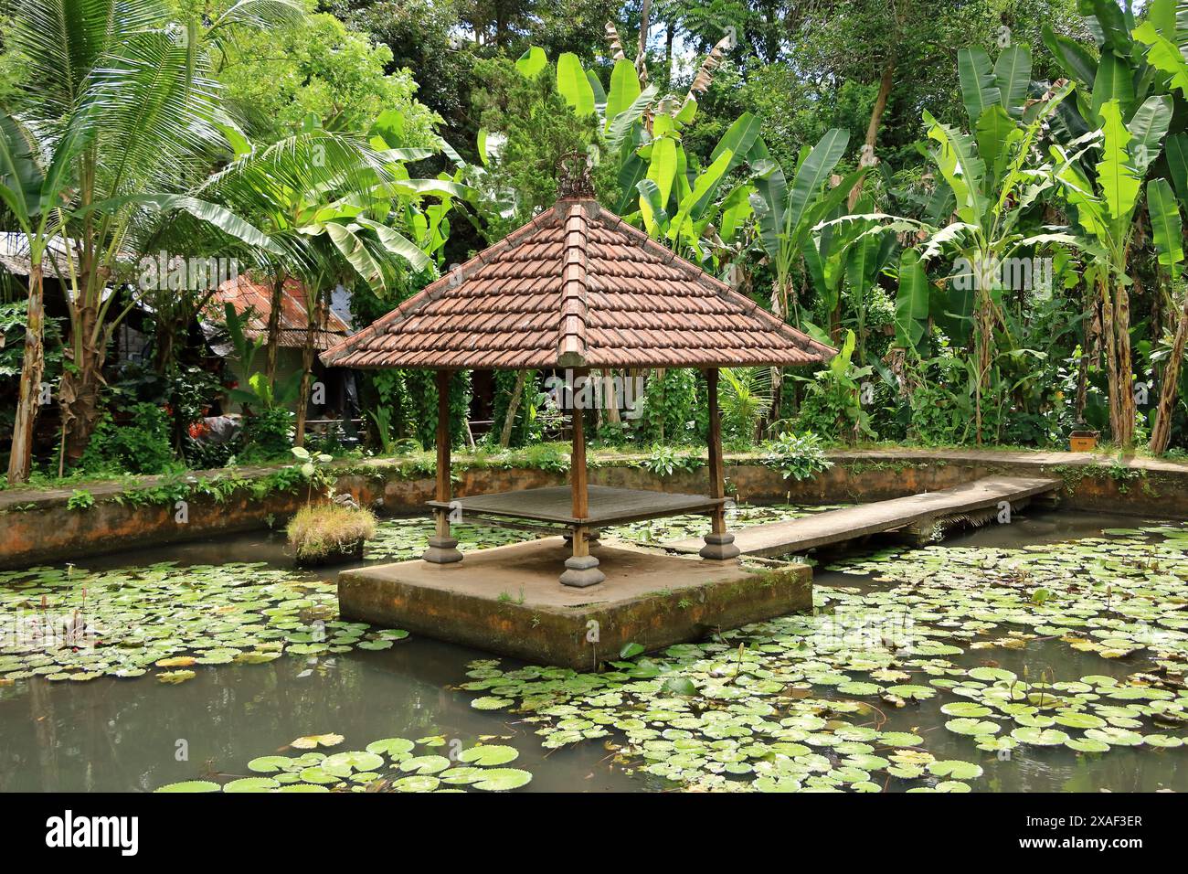 Green garden at Goa Gajah (Elephant Cave) Temple near Ubud, Bali in ...
