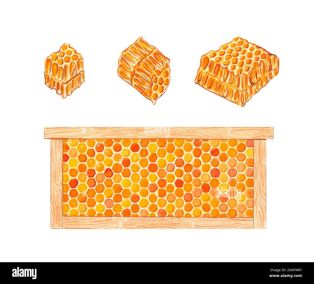Honey box made of a wooden frame with honeycombs. Bee honeycombs with ...