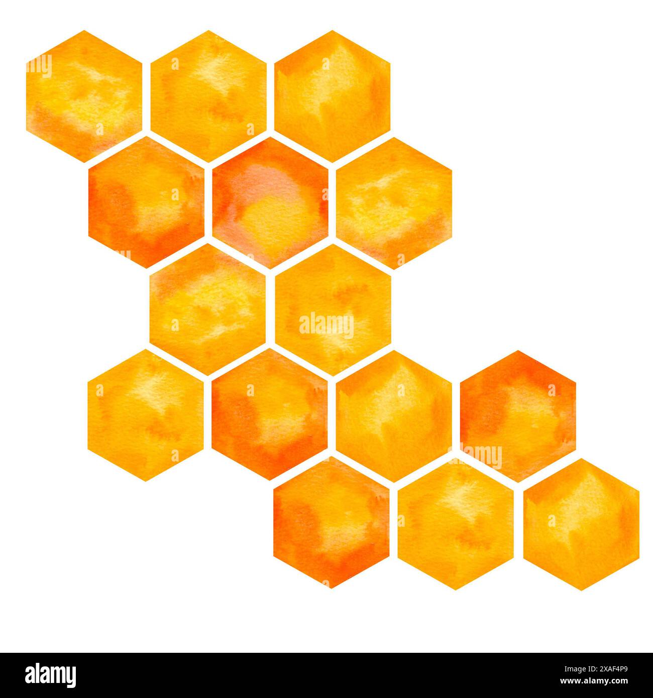 Honeycomb, watercolor pattern. Honeycombs with honey. Hand drawn ...