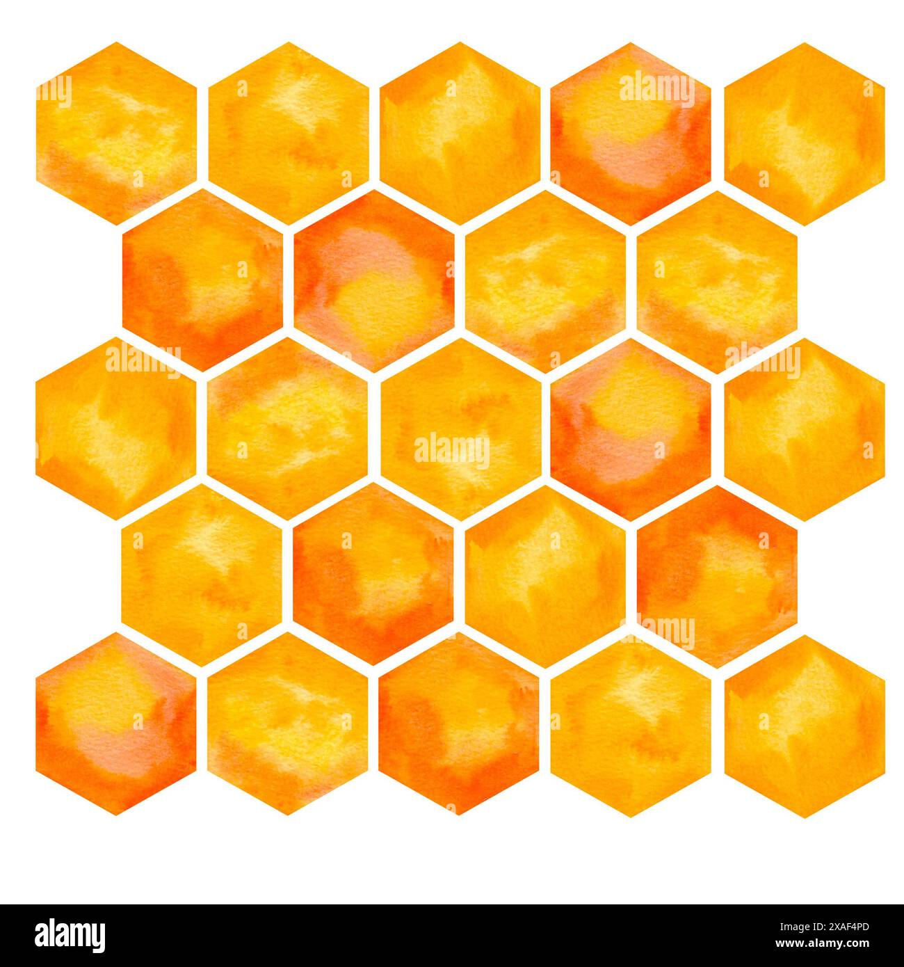 Honeycomb, watercolor pattern. Honeycombs with honey. Hand drawn ...