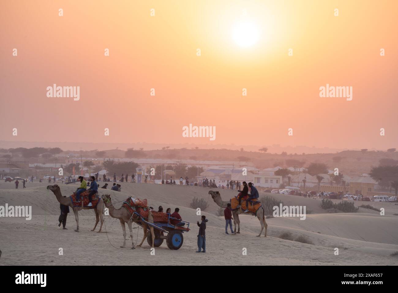 line of camels carrying people tourists at sunset across thar desert in ...