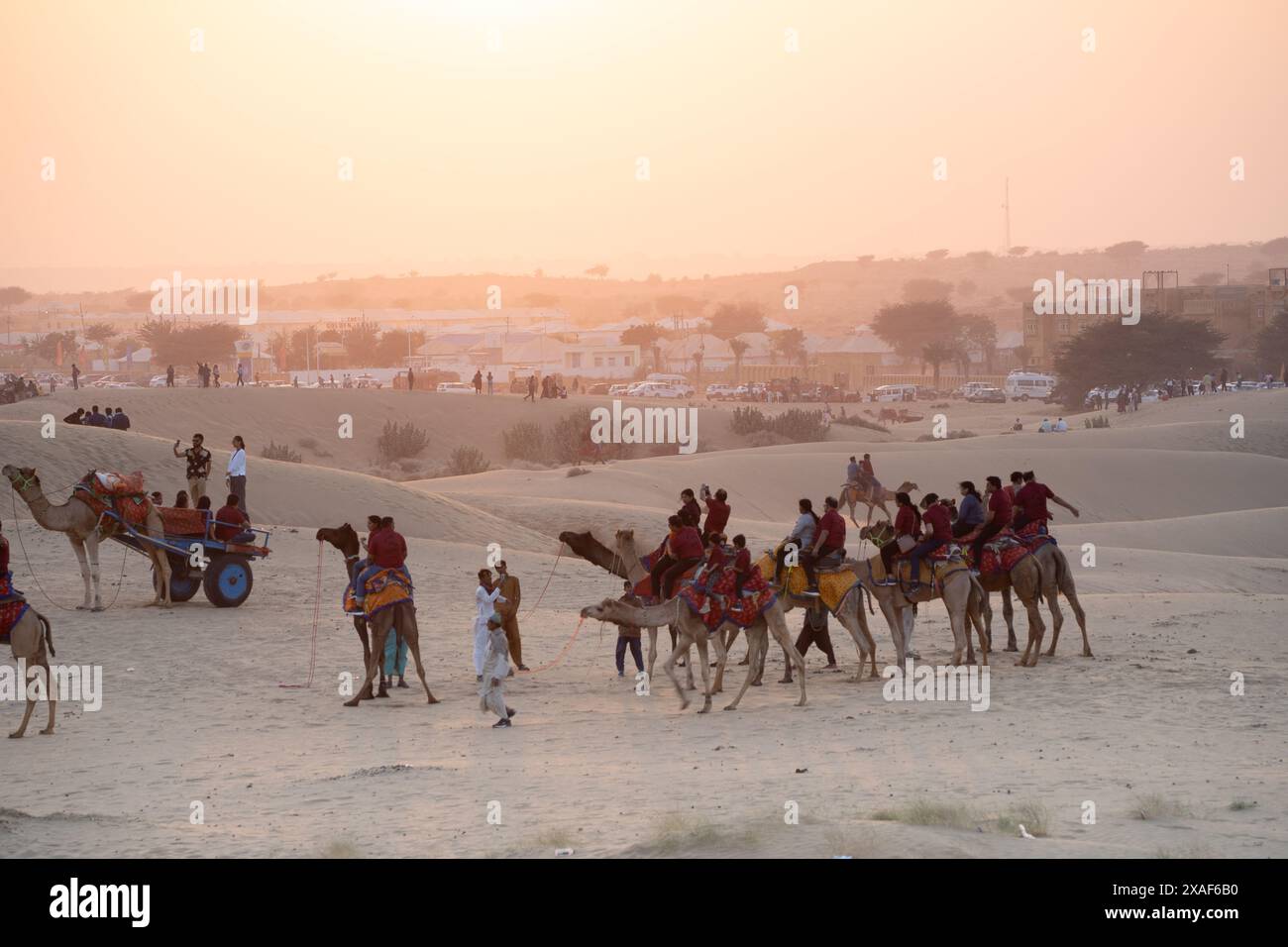line of camels carrying people tourists at sunset across thar desert in ...