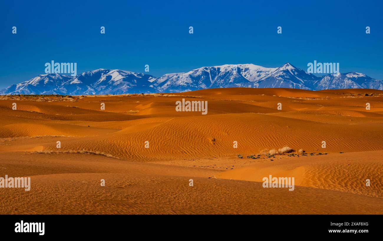Sand dunes and the Henry Mountains along the road to Horseshoe Canyon ...