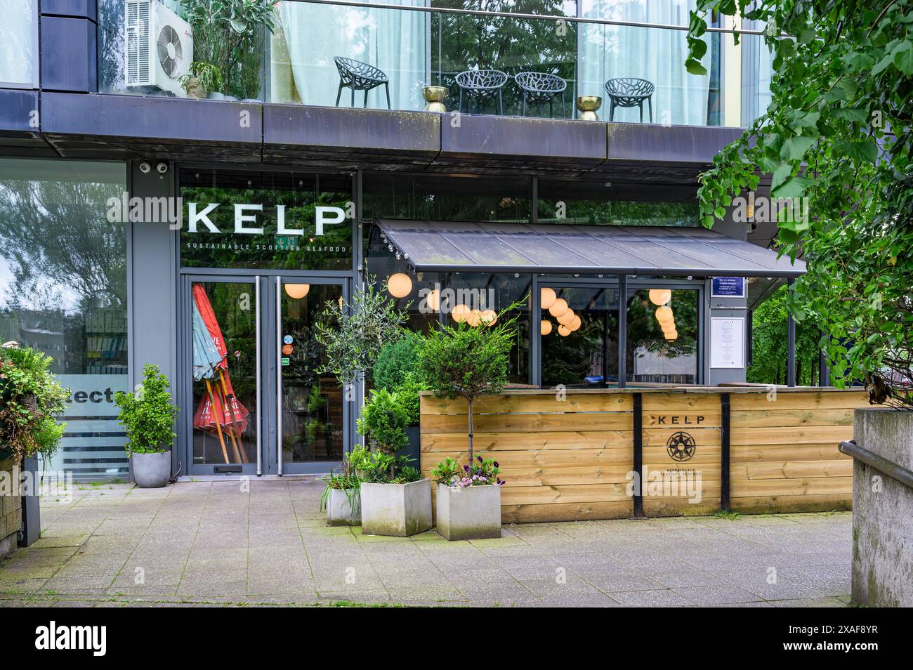 Kelp Sustainable Scottish Seafood Restaurant, Glasgow, Scotland, UK ...