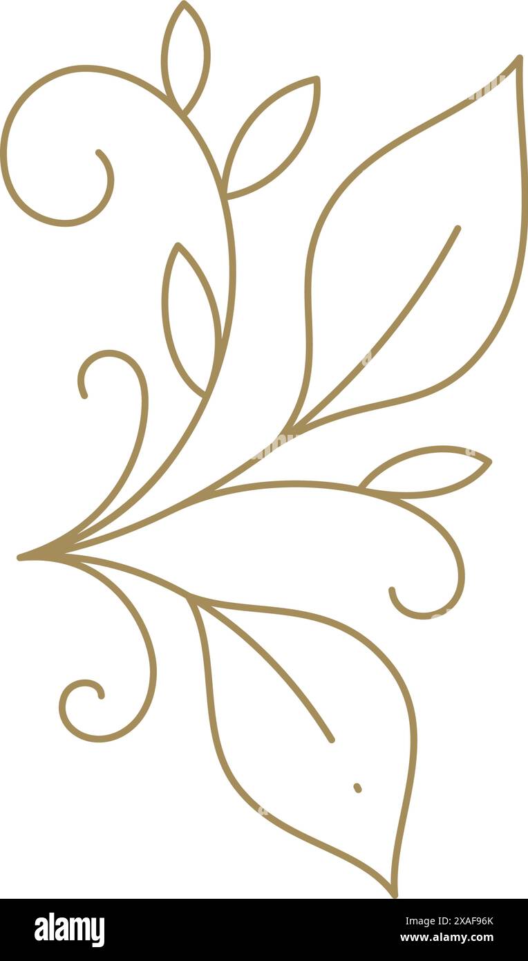 Elegant curved natural stem botanical growth ecology leaves decorative ...