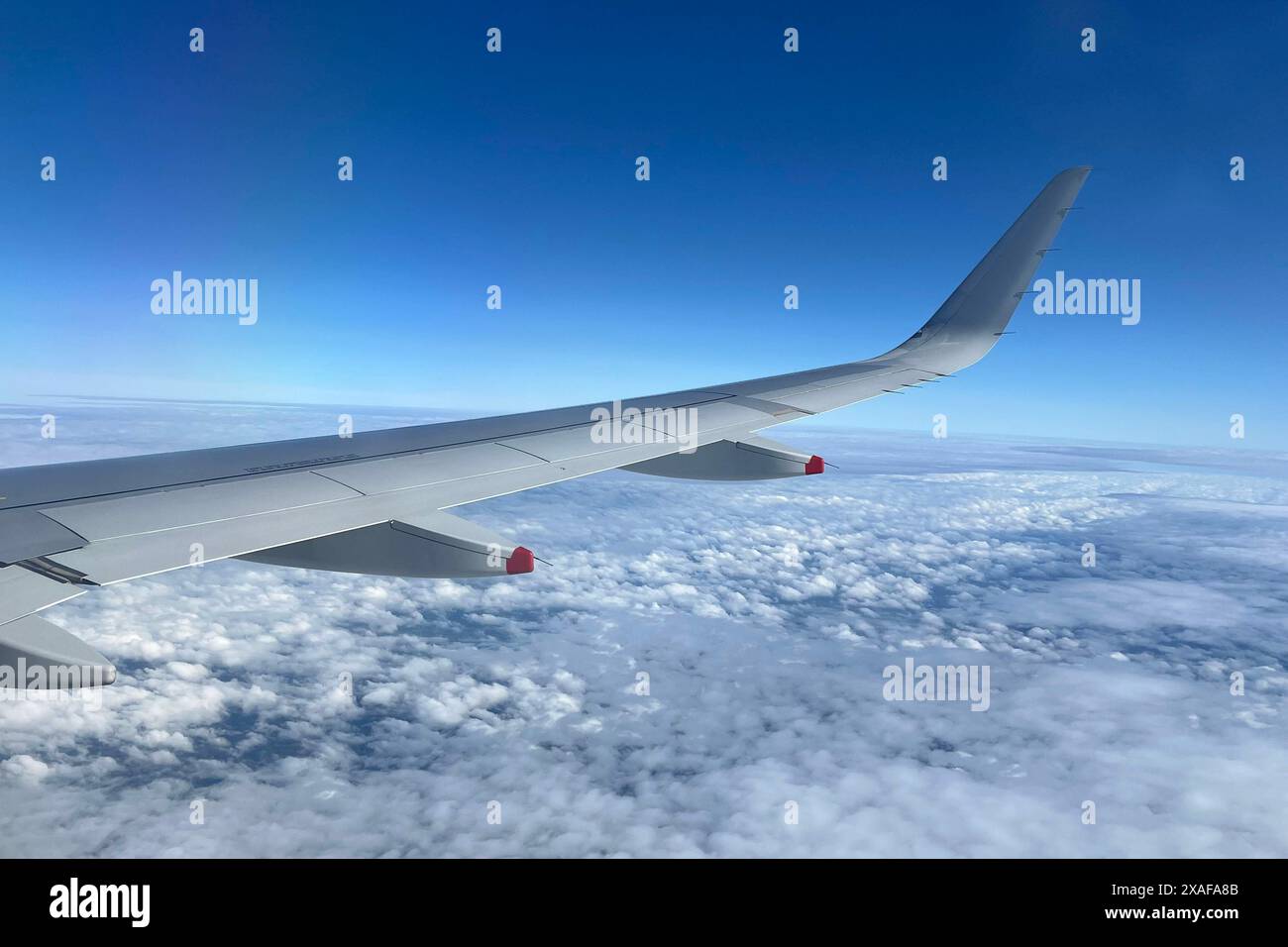 Passagierflugzeug Airbus A-320 Neo im Flue ueber den Wolken ...