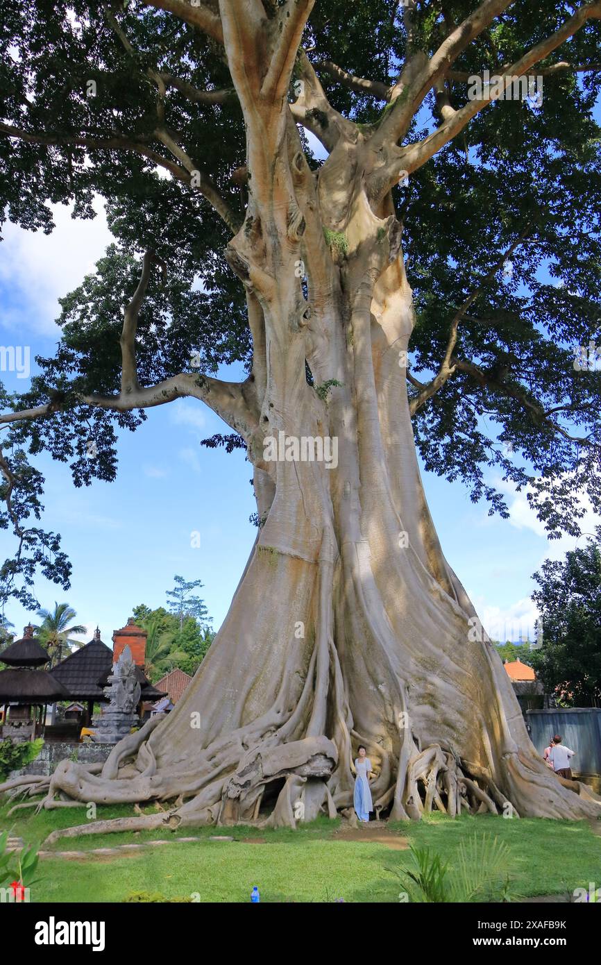 Kayu Putih, Bali in Indonesia - February 02 2024: people visit the ...