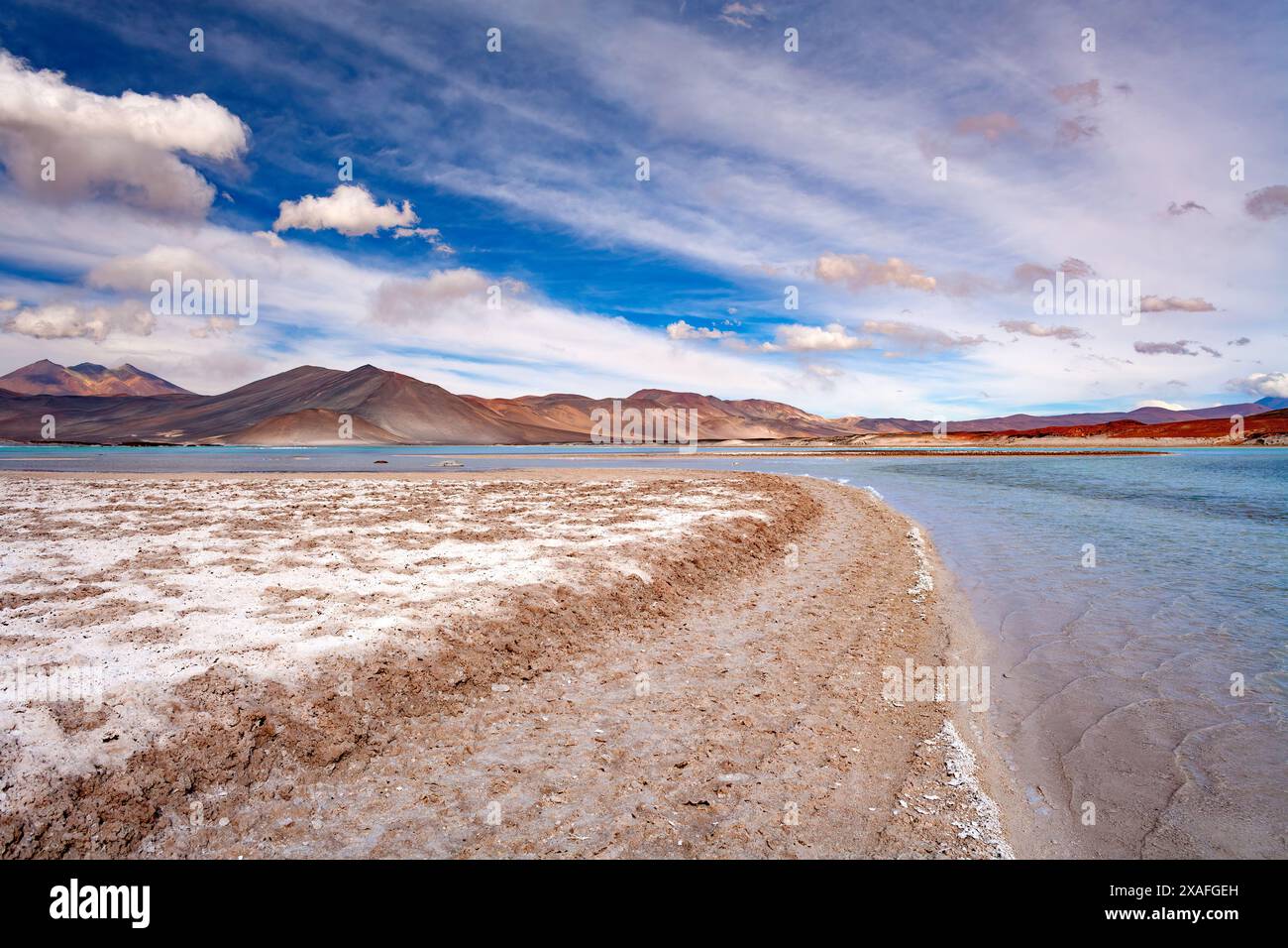 Tuyajto lagoon and salt lake in the Altiplano (high Andean plateau ...