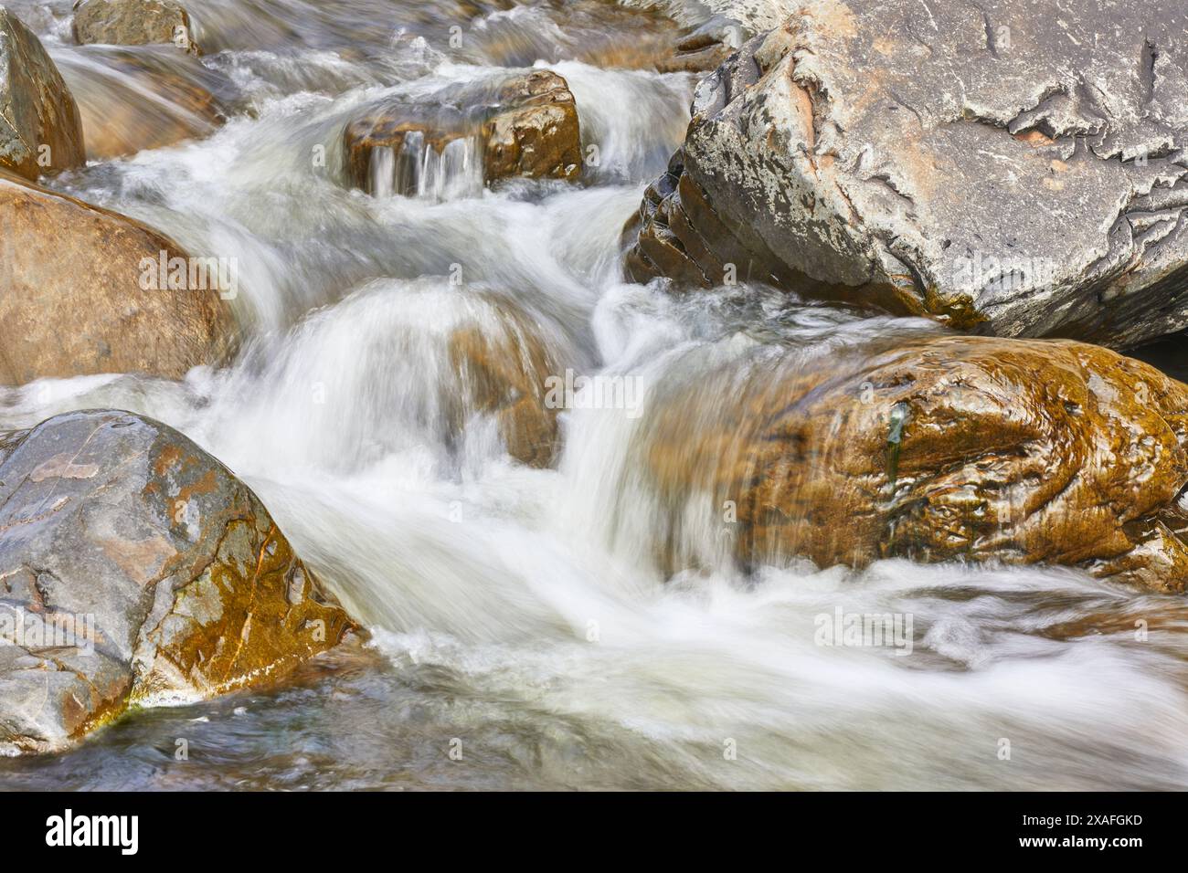 Water flowing over and around rocks in a stream, in Welcombe Mouth ...