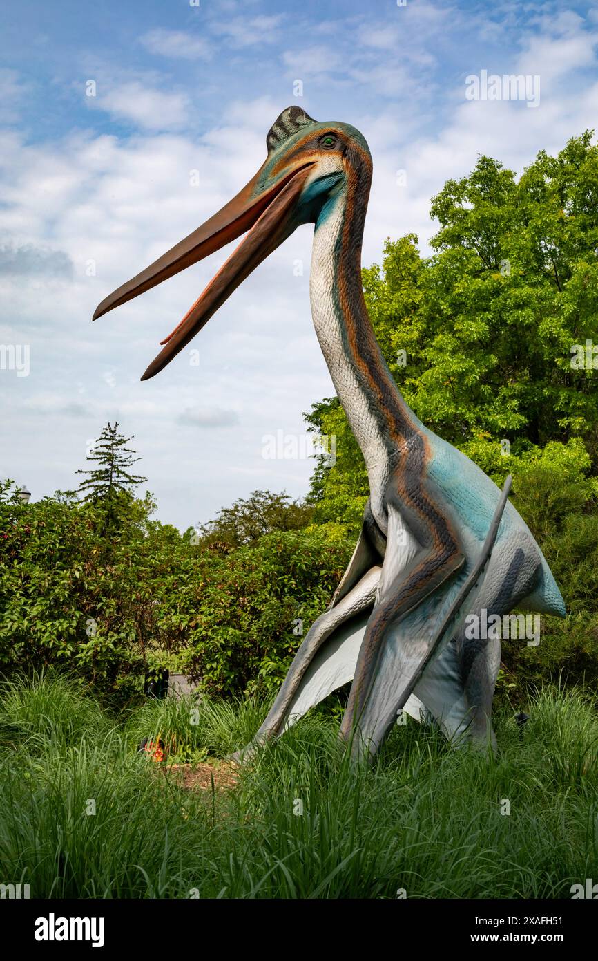 Detroit, Michigan - The Dinosauria exhibit at the Detroit Zoo. The walk ...