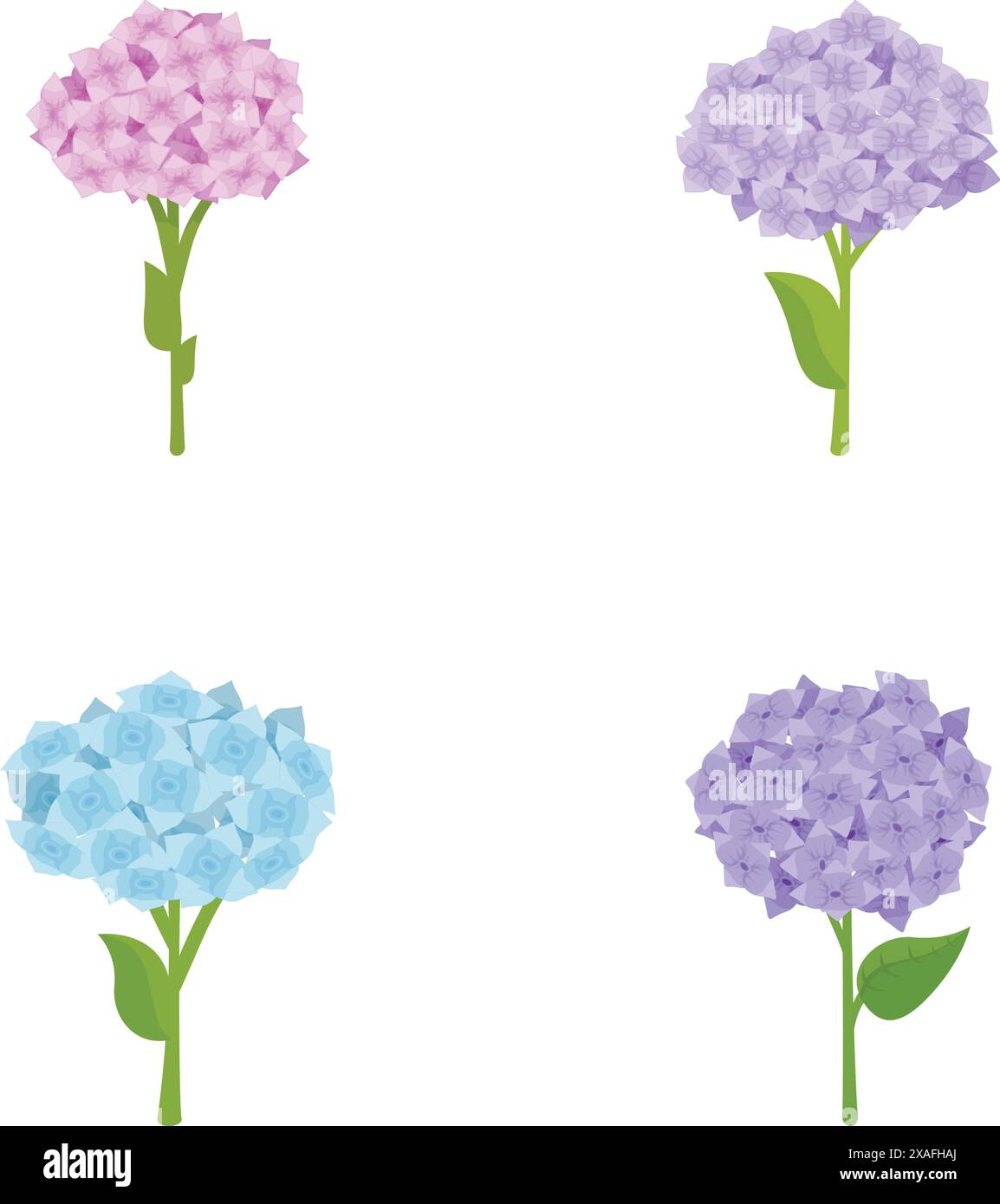 Hydrangea flower icons set cartoon vector. Colorful blooming hydrangea ...