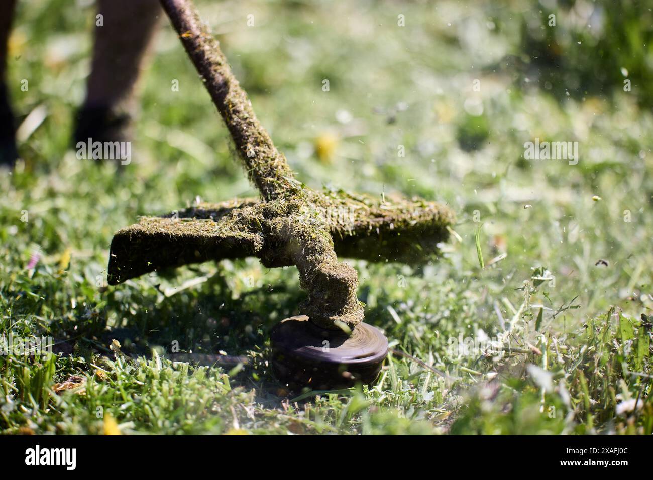 Casing and rod of working gasoline line trimmer are covered with ...