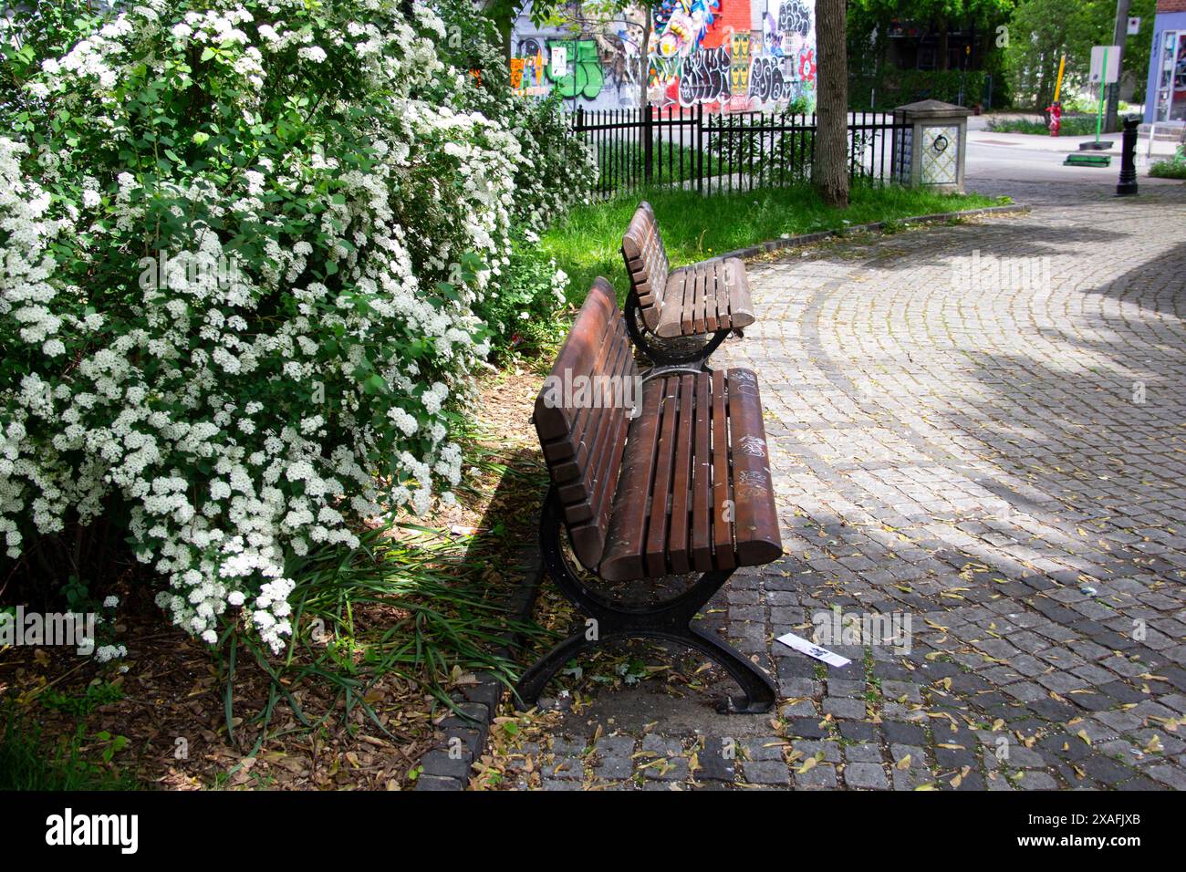 Park benches in a Montreal park Stock Photo - Alamy