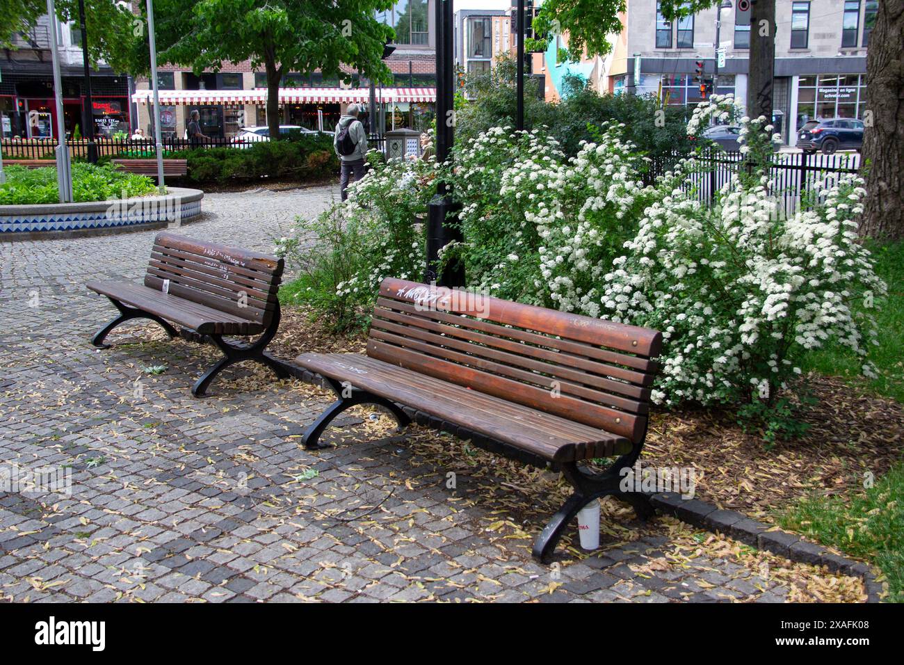 Park benches in a Montreal park Stock Photo - Alamy