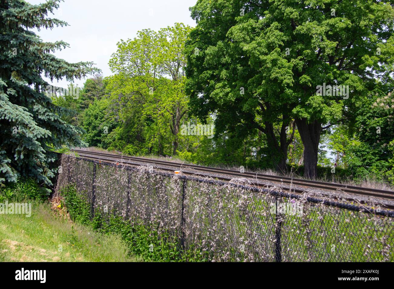 Railroad tracks alongside a park Stock Photo - Alamy