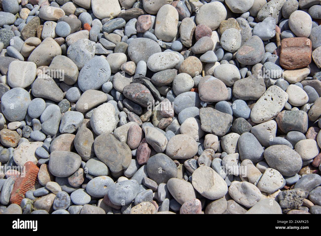 Cobbles on shingle beach hi-res stock photography and images - Alamy
