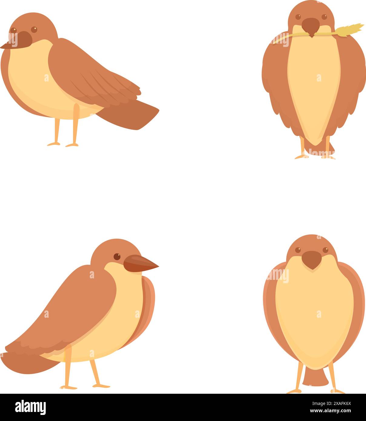 Brown sparrow icons set cartoon vector. Cute cheerful sparrow. Little ...