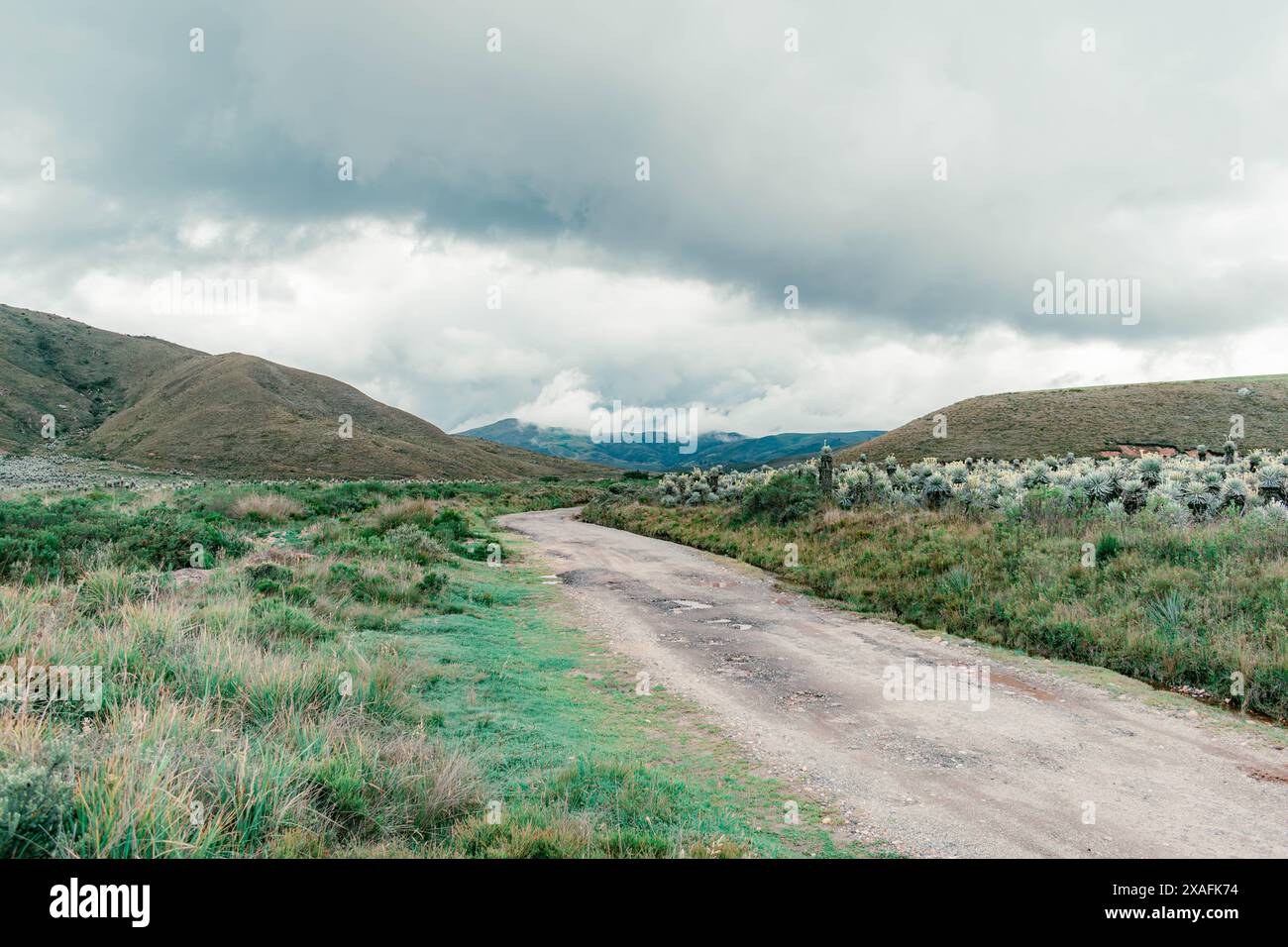 mountainous landscape with an unpaved road in the cold mountains of ...