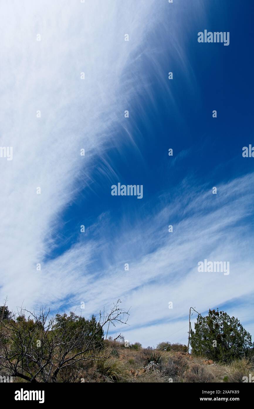 Dramatic wispy clouds over ridge line in Apache Pass of Chihuahuan ...