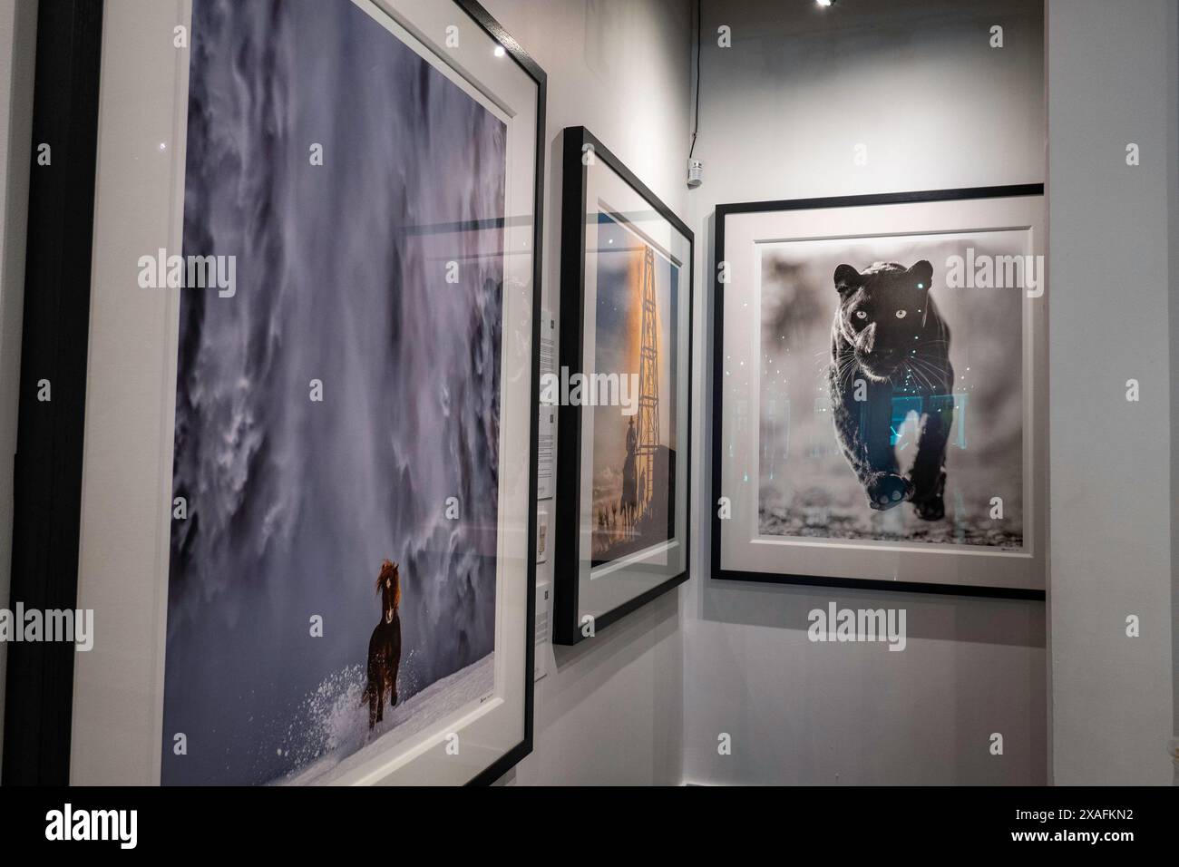 David Yarrow's Fine art photography is Exclusively Sold At the Sorrel ...