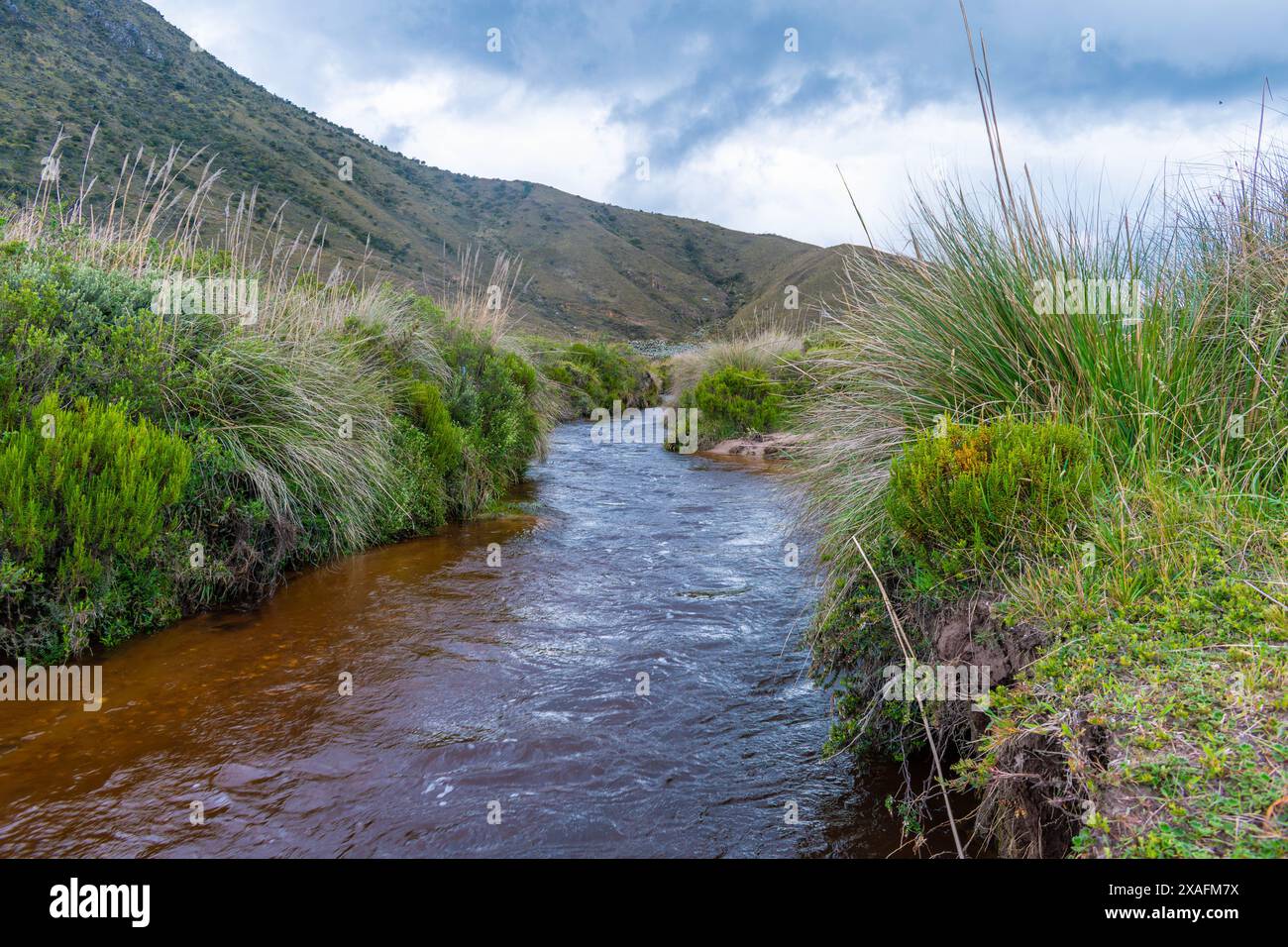 landscape with saturated colors with a river in the cold mountains and ...