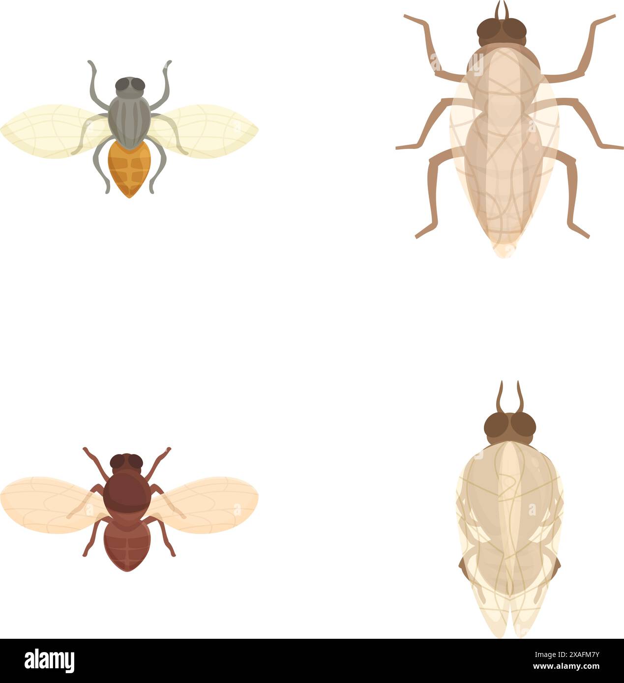 Collection of four cartoon flying insects isolated on a white ...