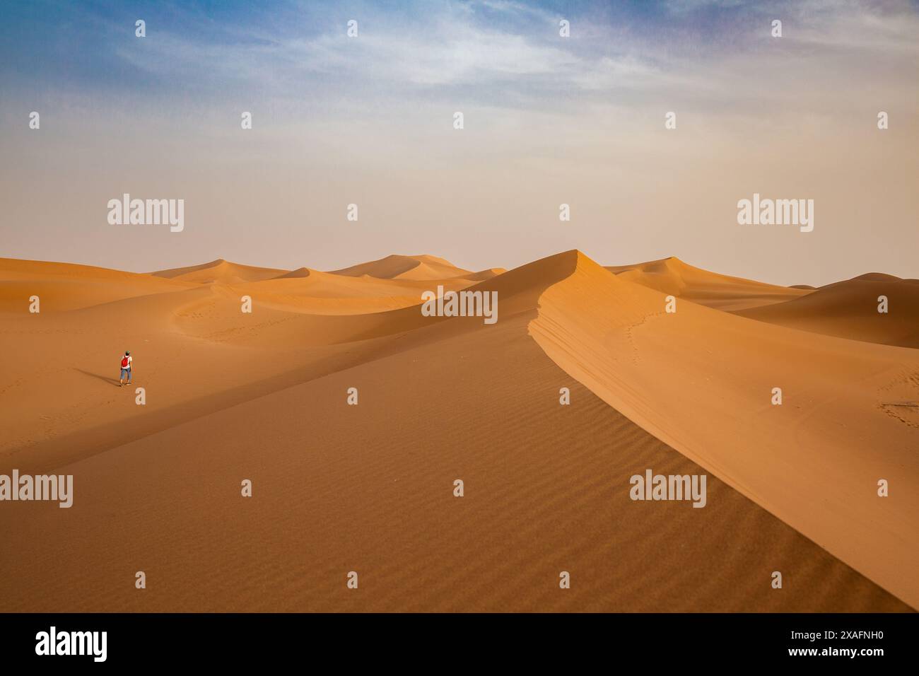 Sand dunes stretch for as far as the eye can see Erg Chigaga, near M ...