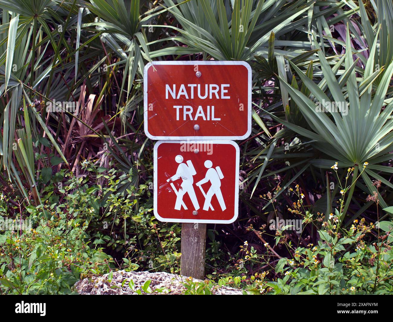 Nature trail sign. Hiking icons Stock Photo - Alamy