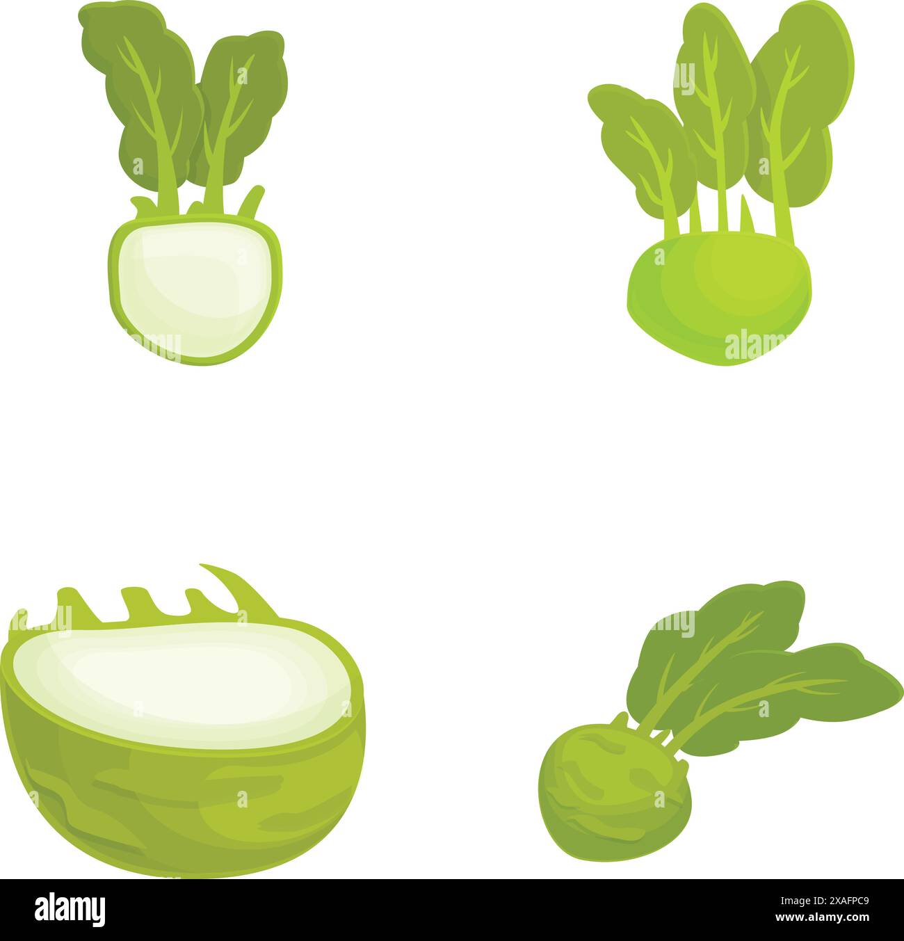 Collection of four cartoonstyle vector illustrations of healthy green ...