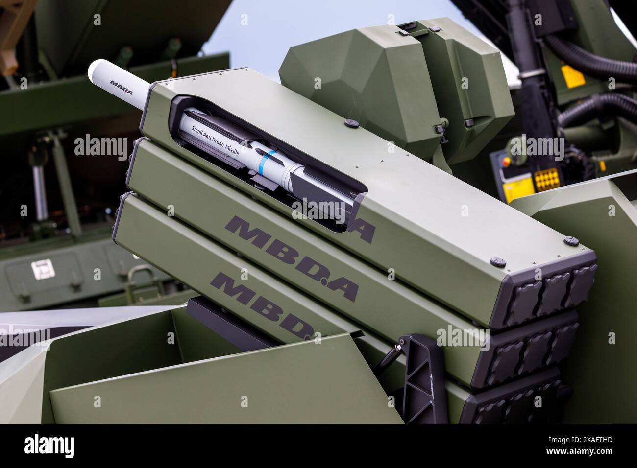 Symbolfoto TAURUS DEU/Deutschland/Brandenburg/Selchow, 05.06.2024, Ein ...