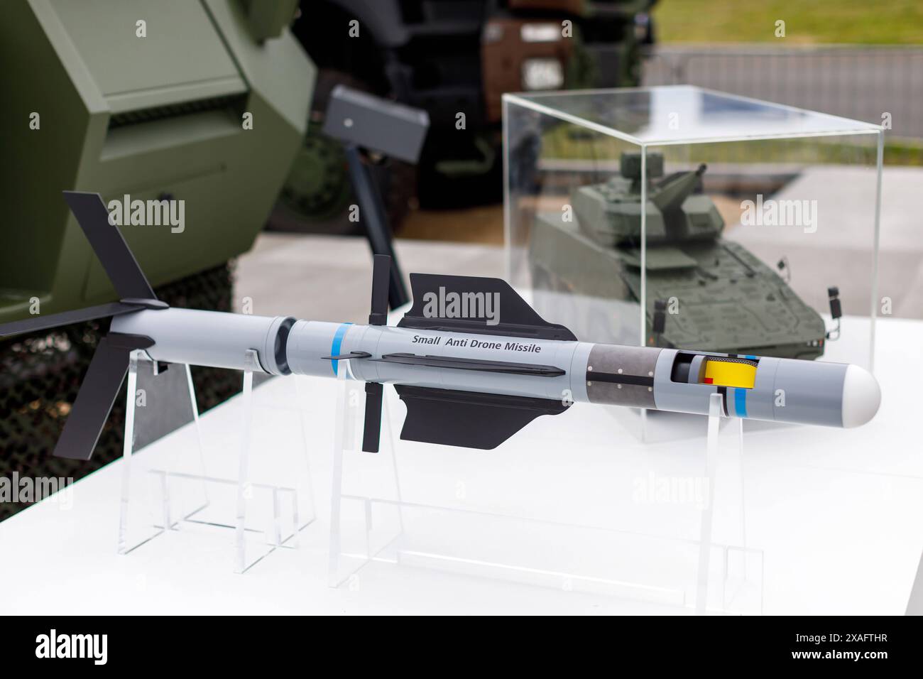 Symbolfoto TAURUS DEU/Deutschland/Brandenburg/Selchow, 05.06.2024, Ein ...