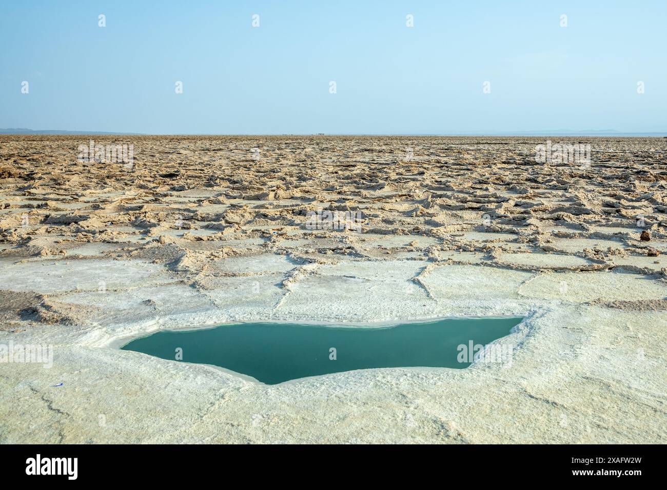 Karum white dried salt lake surface with small pond of water, Danakil ...