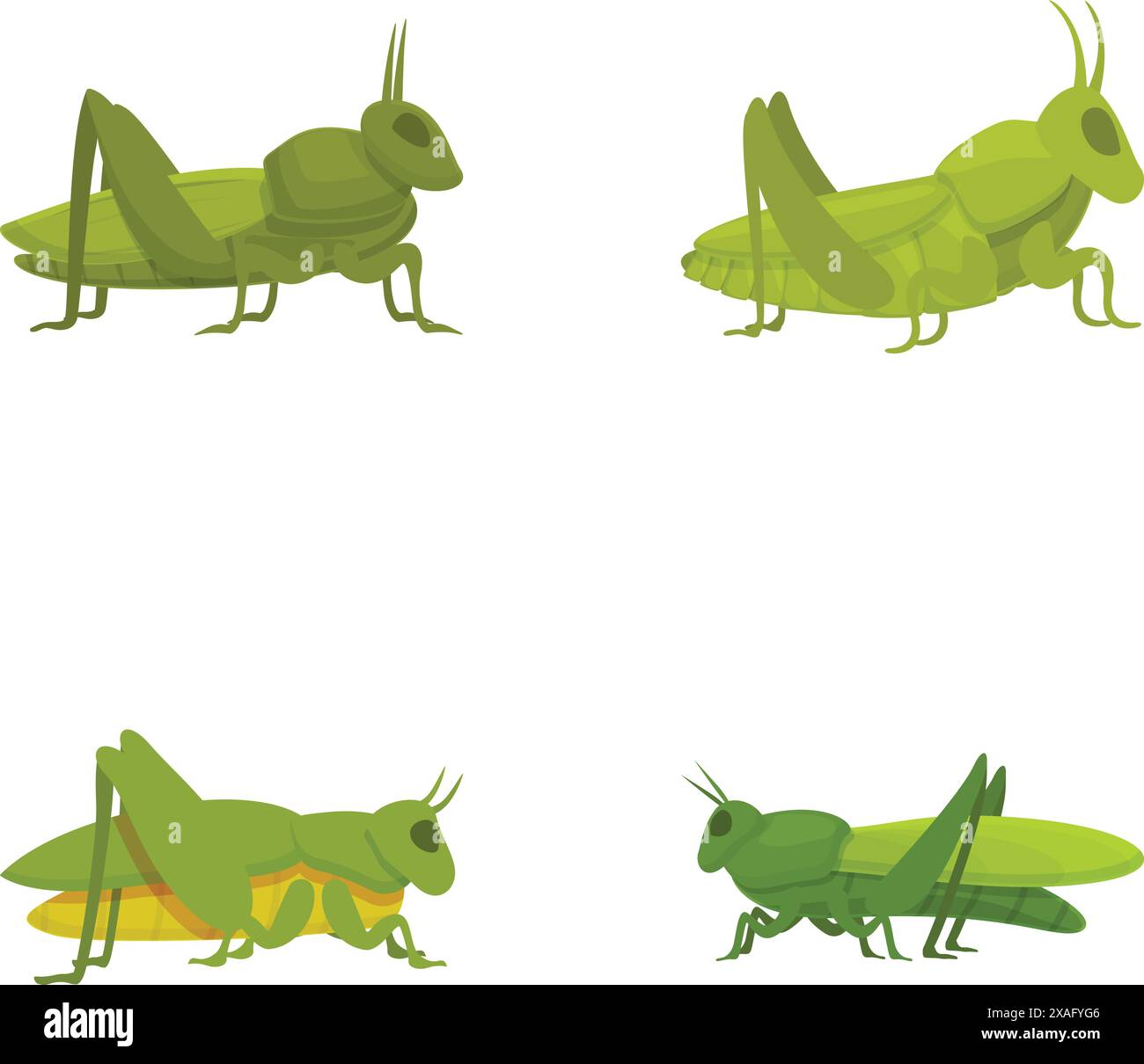 Collection of four vector illustrations of green cartoon grasshoppers ...