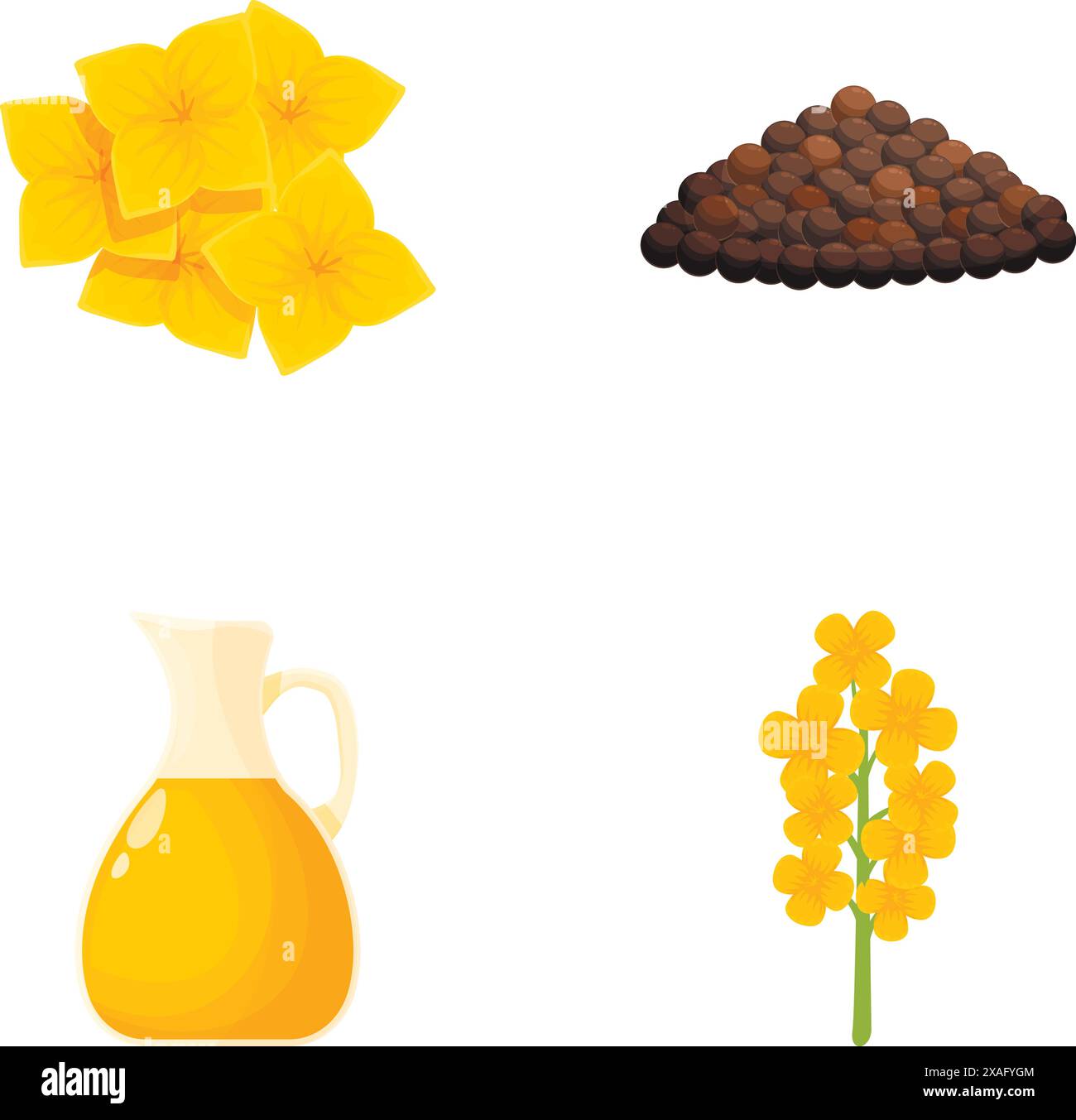 Collection rapeseed crop Stock Vector Images - Alamy