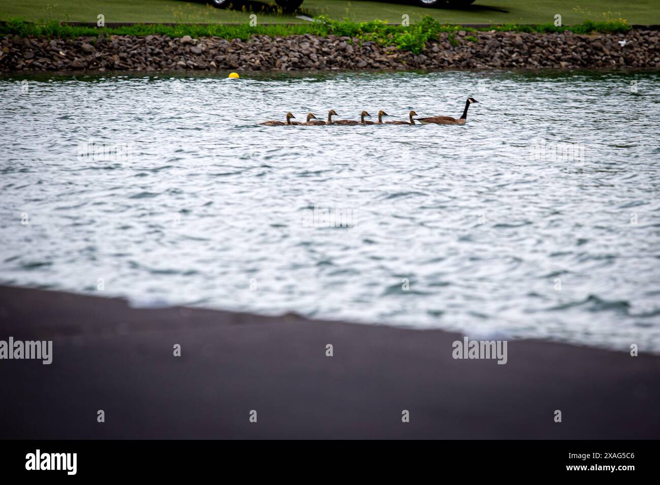 track atmosphere during Formula 1 Aws Grand Prix du Canada 2024 ...