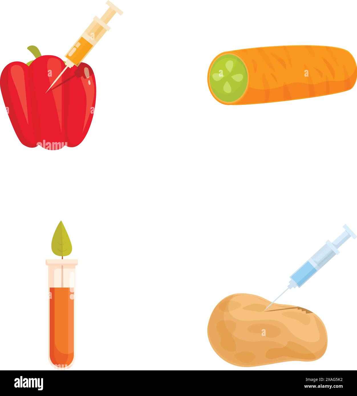 Illustration set of genetically modified foods including a syringeinjected bell pepper, carrot ...