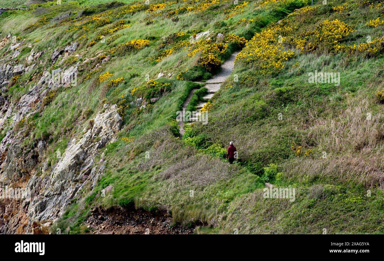 Pathway nature trail hi-res stock photography and images - Alamy