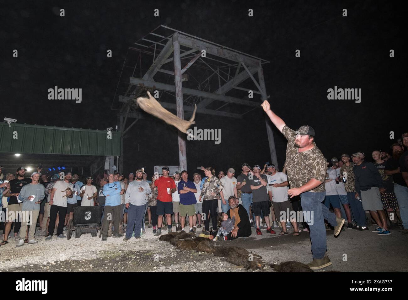 Participant hurls a dead nutria in the "nutria toss" contest at the ...
