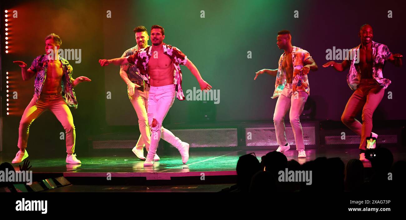 Gleb Savchenko’s fellow DWTS pros Emma Slater, Britt Stewart and Ezra ...