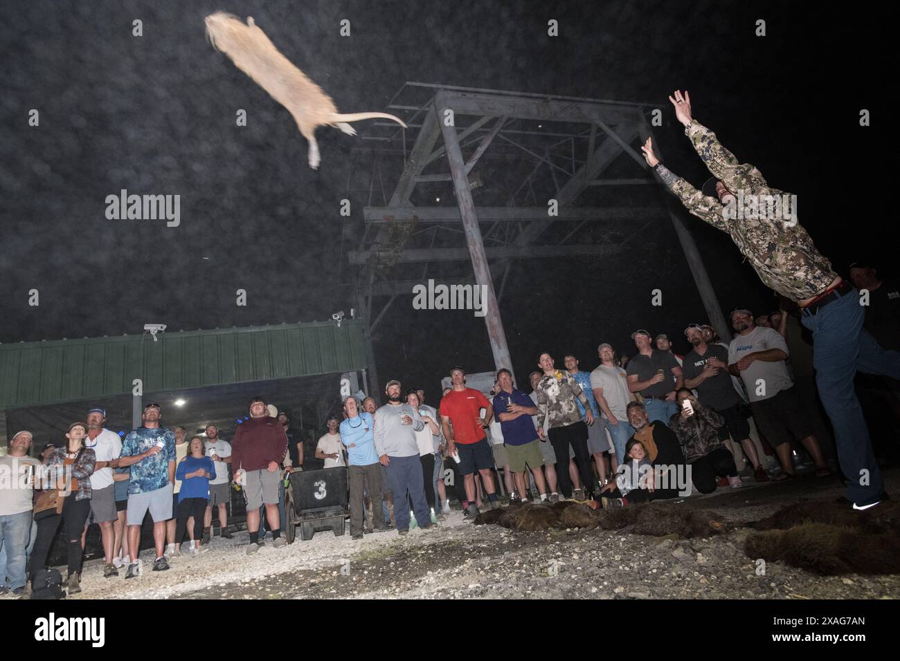 Participant hurls a dead nutria in the "nutria toss" contest at the ...