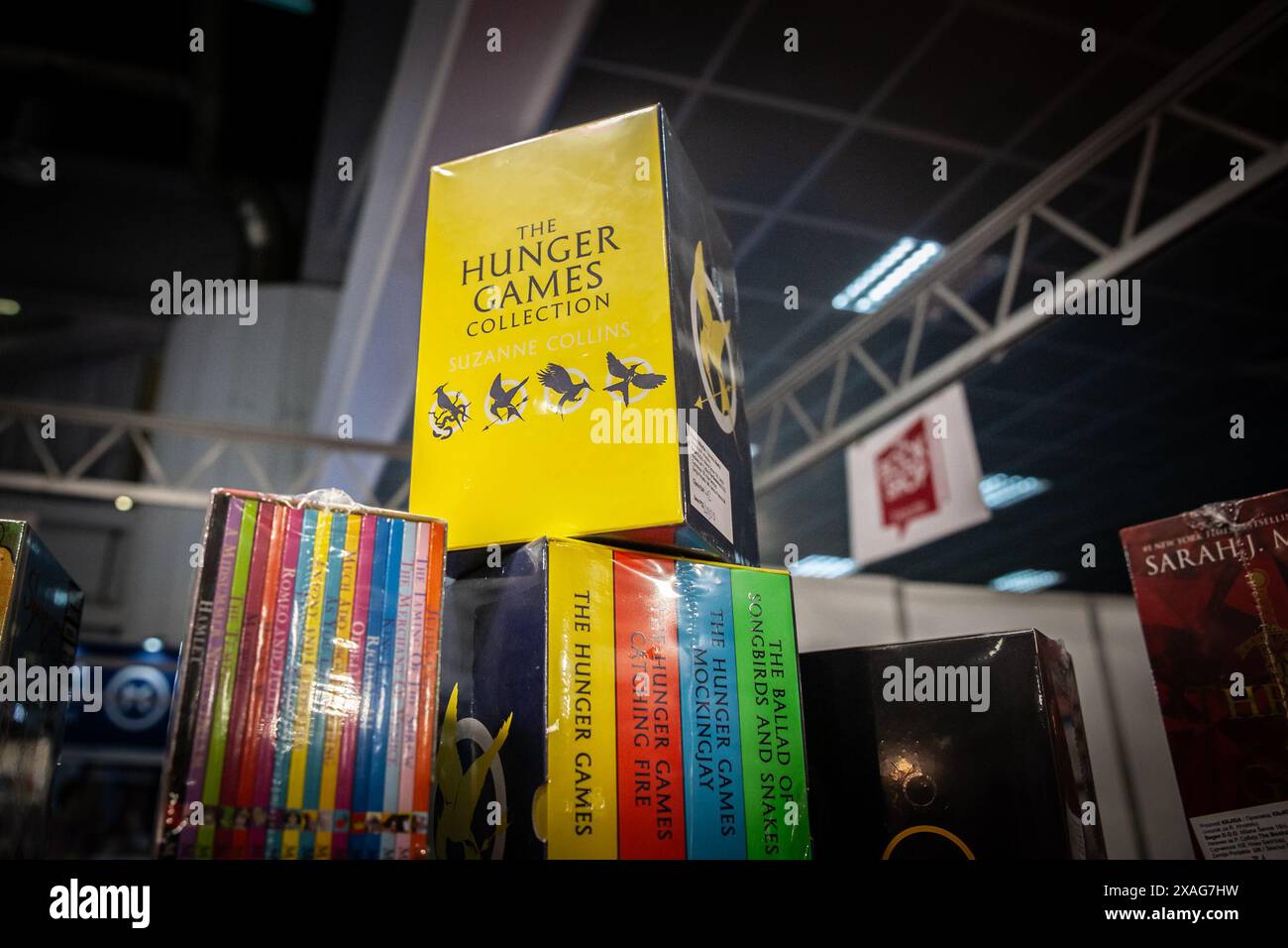 Picture of the book covers of Death onThe hunger Games novels by ...